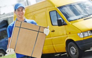 Go Cargo – Transport and Logistics