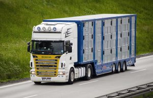 Go Cargo – Transport and Logistics
